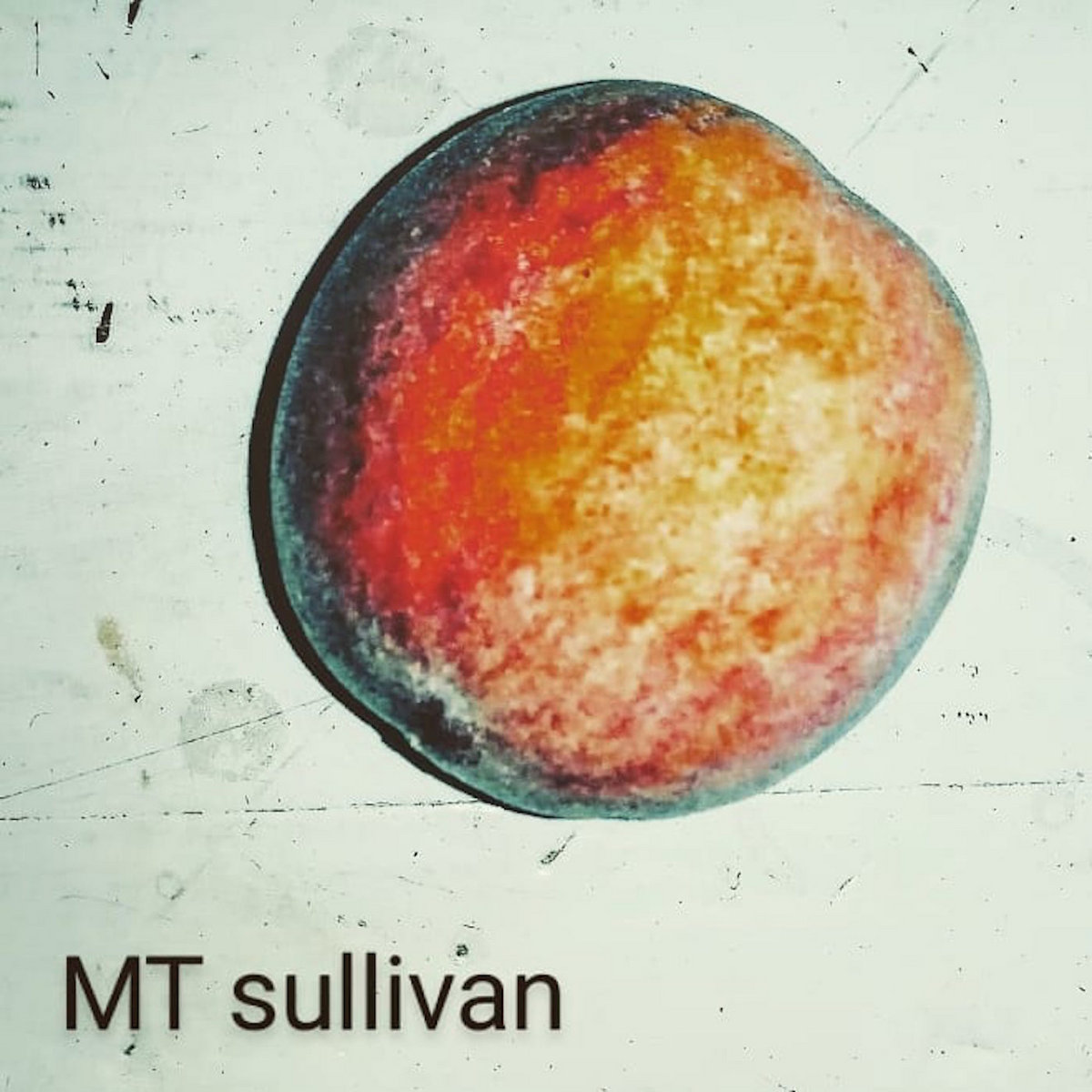 Bleached Peach | MT sullivan, lilli jean, Sister Mary, Sacred Daisy ...