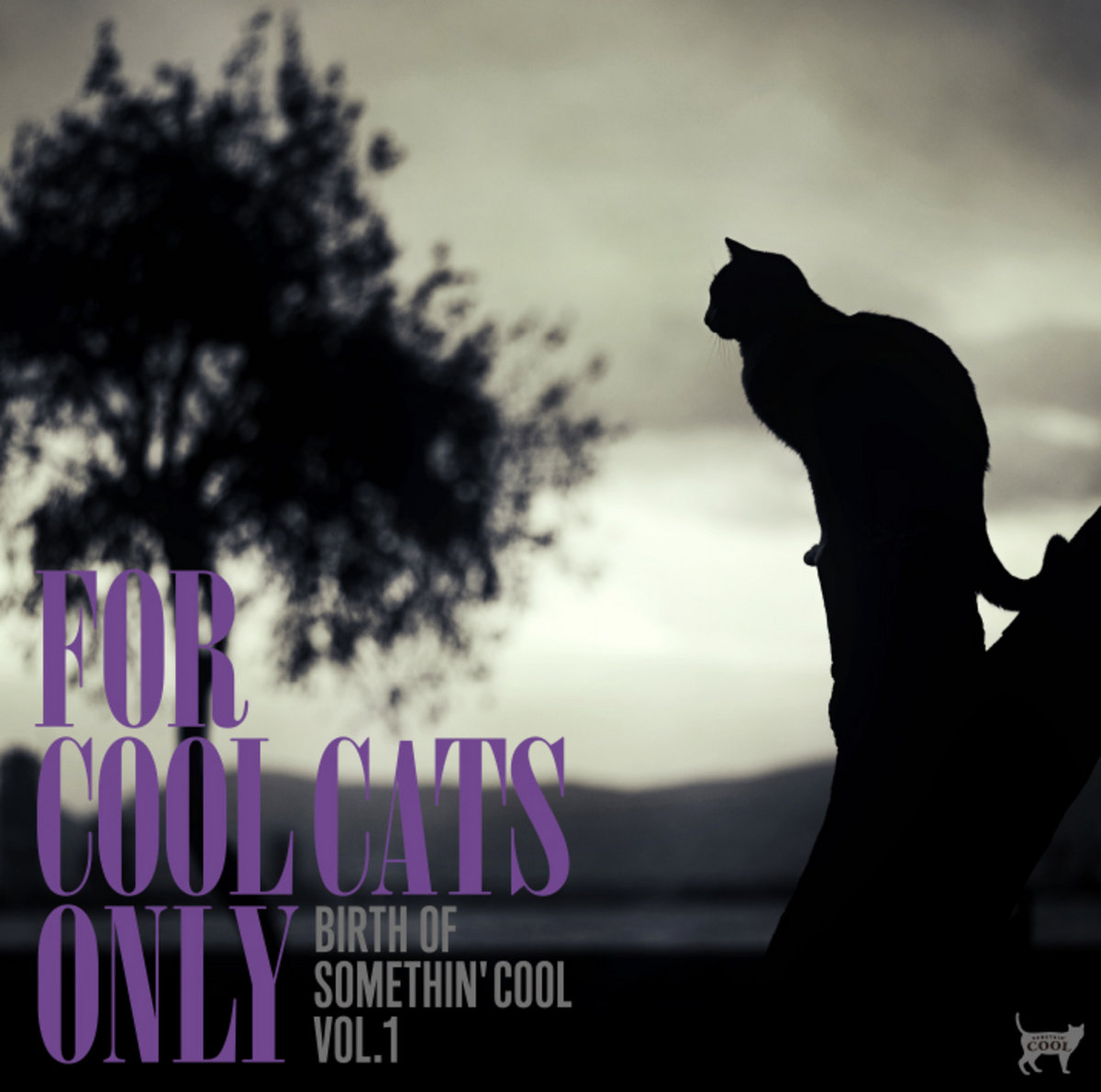 FOR COOL CATS ONLY -Birth of Somethin’ Cool Vol.1- | FOR COOL CATS ONLY ...