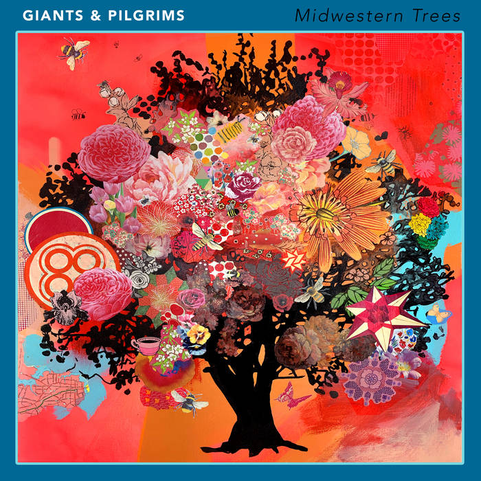 Midwestern Trees | Giants & Pilgrims