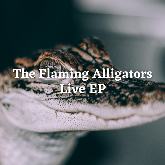 Live EP | The Flaming Alligators