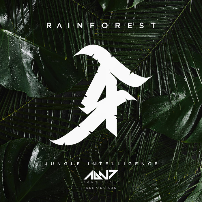 Jungle Intelligence EP | Rainforest | AGN7 Audio
