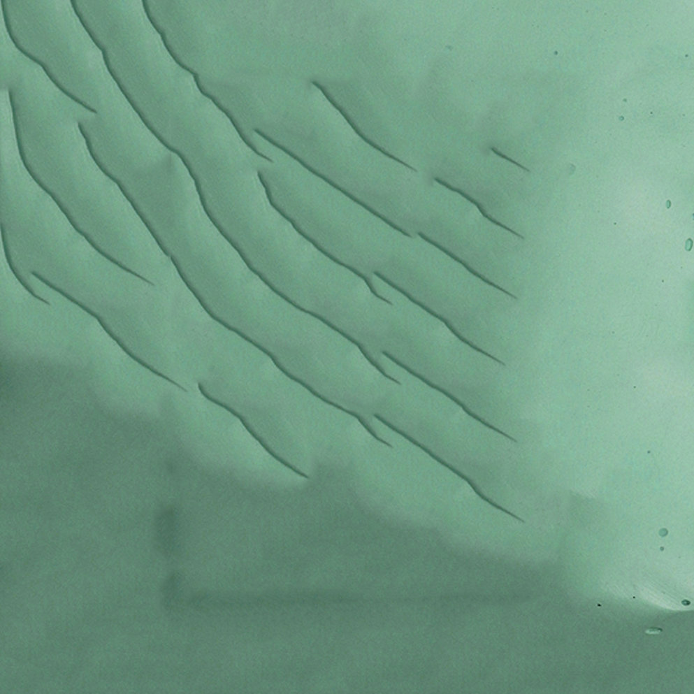 Follow the Coast | Duckspeak