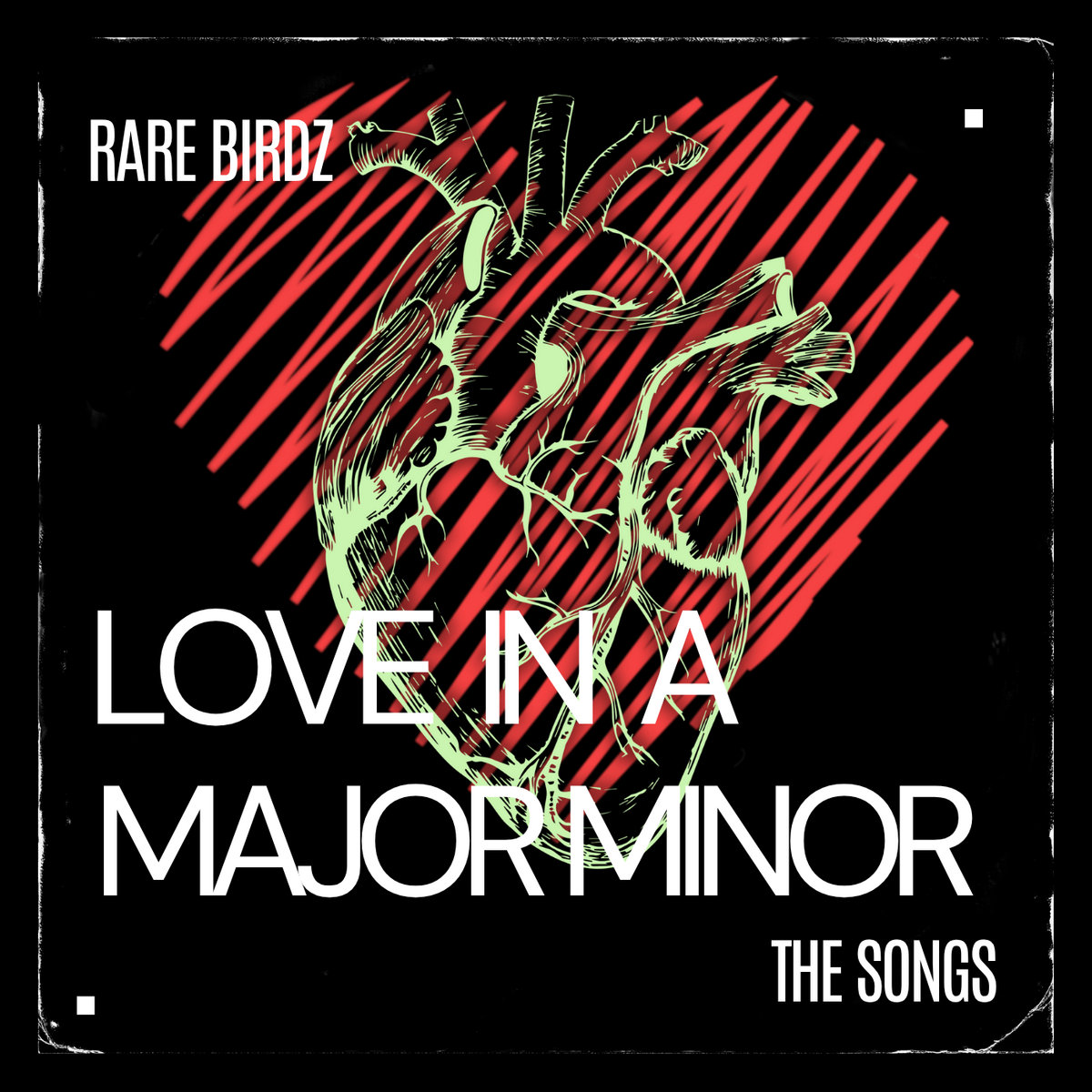 Love In A Major Minor - The Songs | Rare Birdz