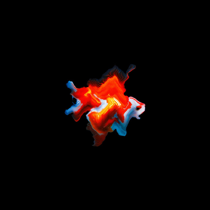 Hyoshigi Hop | DuckTape Orchestra