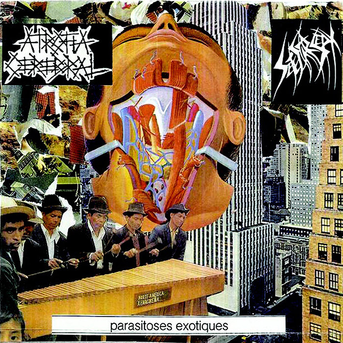 Split 7" w/Atrofia Cerebral | SETE STAR SEPT