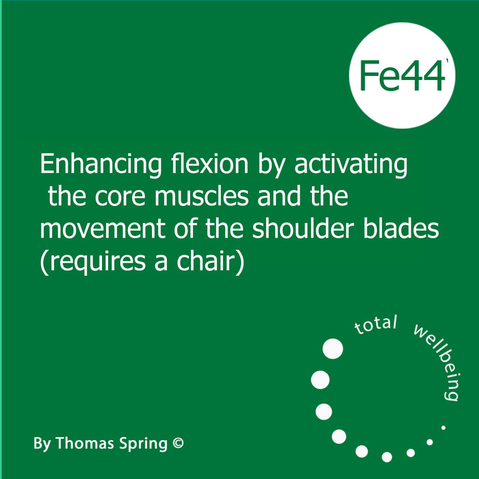 Fe44 Enhancing flexion by activating the core muscles and the movements ...
