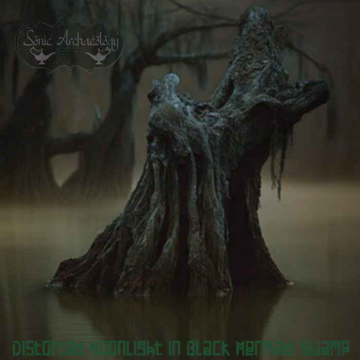 Distorted Moonlight in Black Mermaid Swamp | Sonic Archaeology