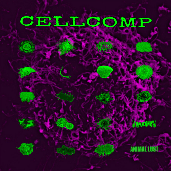 CELLCOMP | Various Molecular Noisy Projects | Javert Nihil