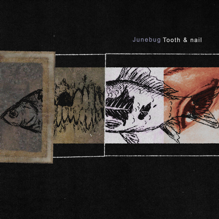 Tooth & nail | Junebug