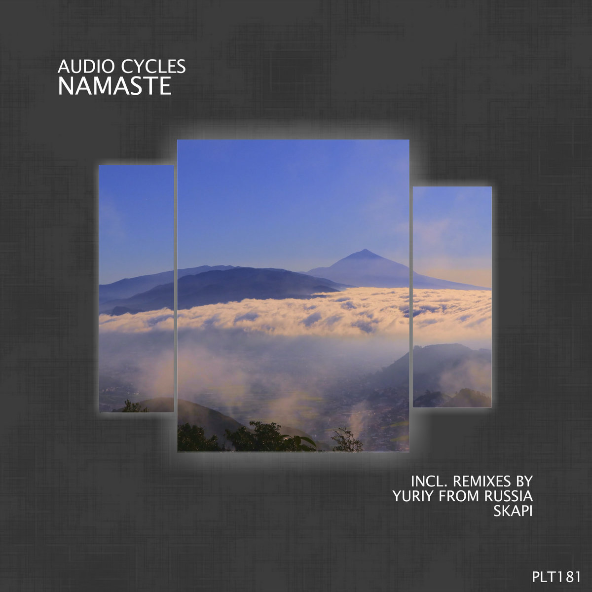 Namaste (Incl. Remixes) | Audio Cycles | Polyptych