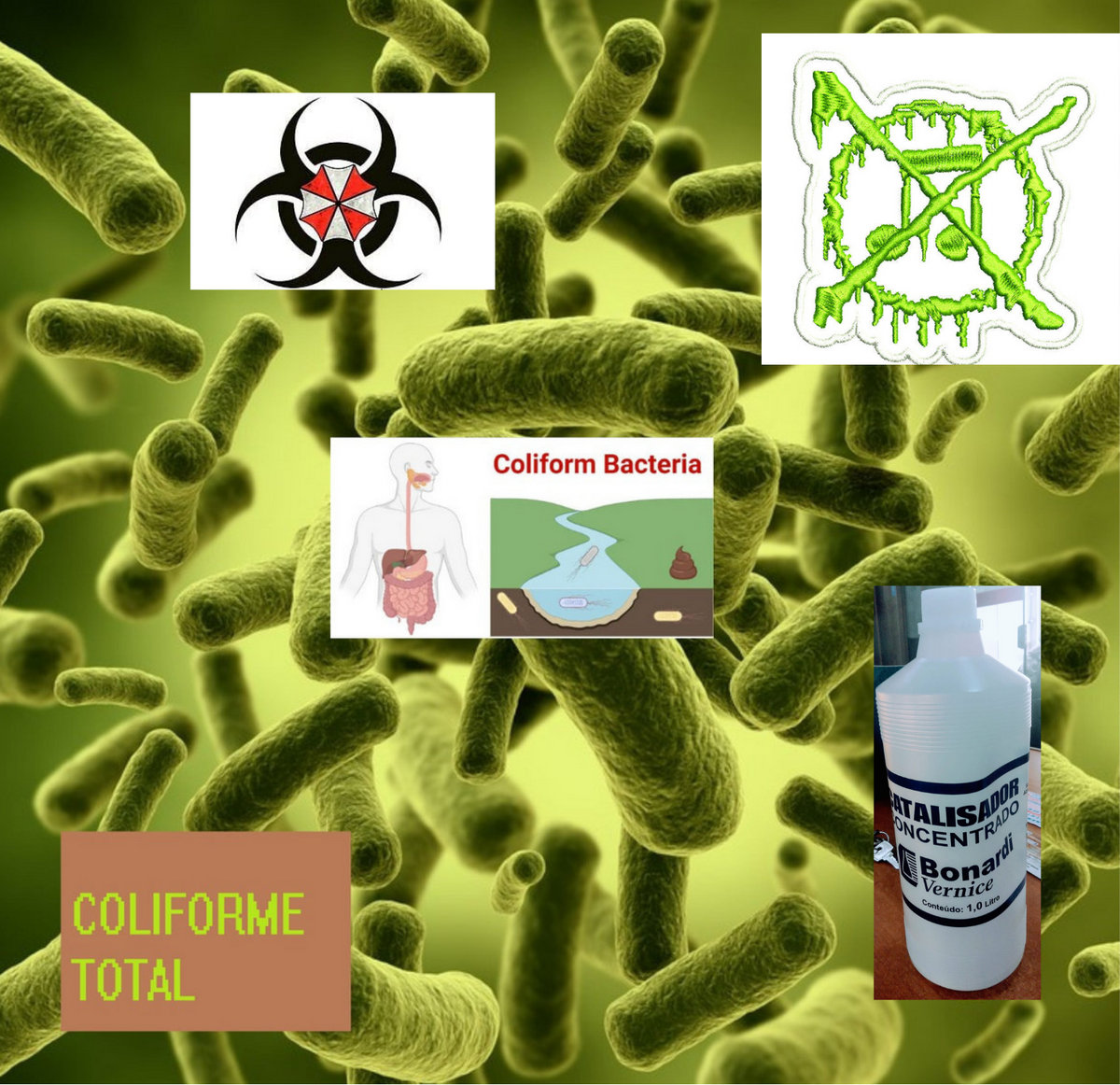 Coliforme Total Ep 2024 | Summus Diabolus Recs