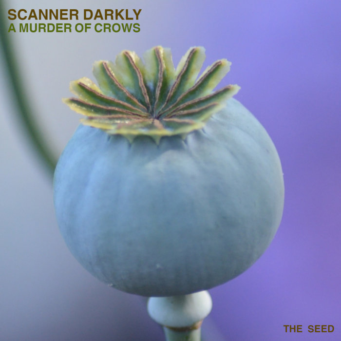 A Murder of Crows | Scanner Darkly | The Seed Underground