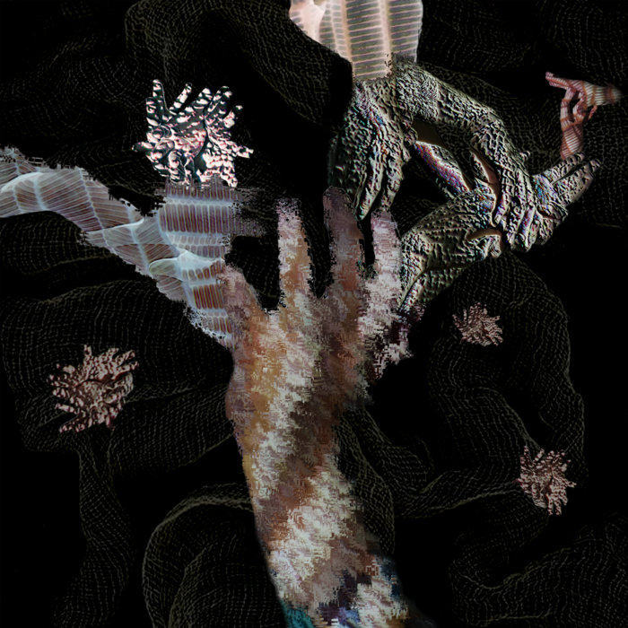 Through Welcomed Ears | Cities Unexpected Field