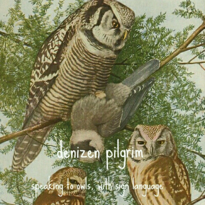 speaking to owls, with sign language | Denizen Pilgrim