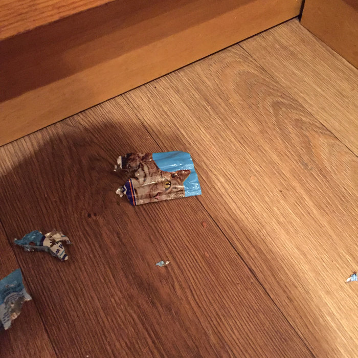 Eleventeen | Eleventeen | Kelcob Music