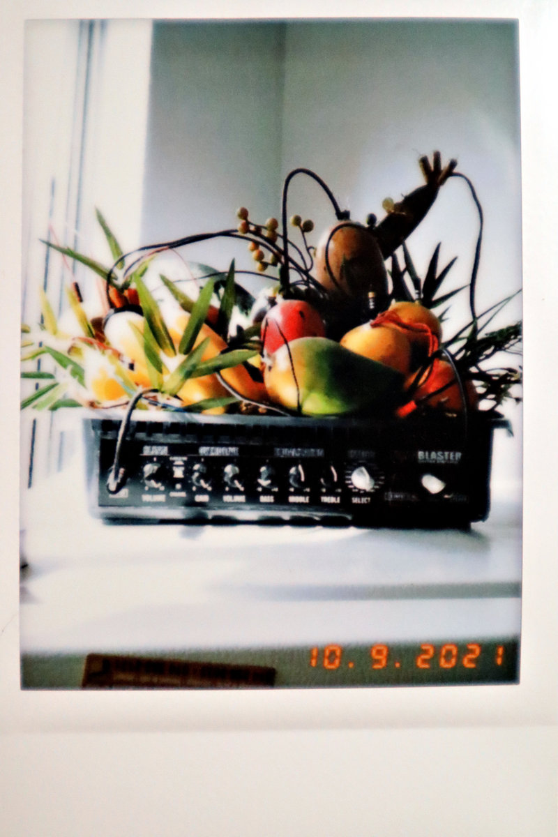 Involution | Greg Bruce