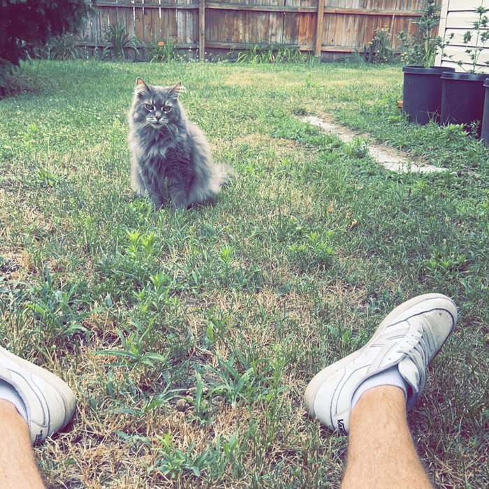 celebrating the life of mr. vito the knife | Cameron Bourgeois