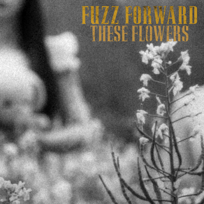 These Flowers | Fuzz Forward