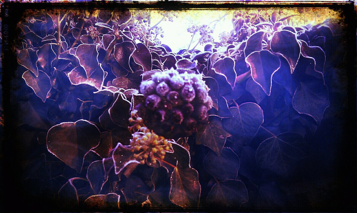 What's Wrong With Miracles | Jeff Stonehouse