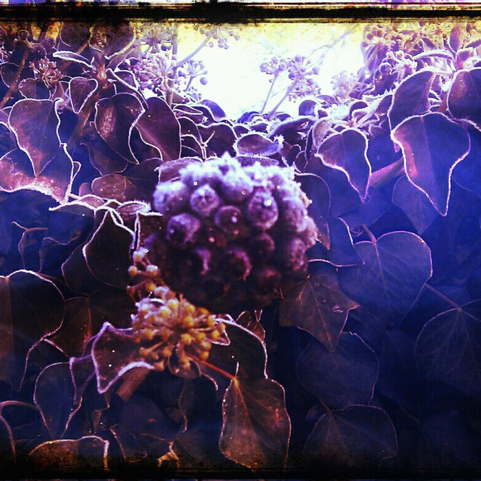 What's Wrong With Miracles | Jeff Stonehouse