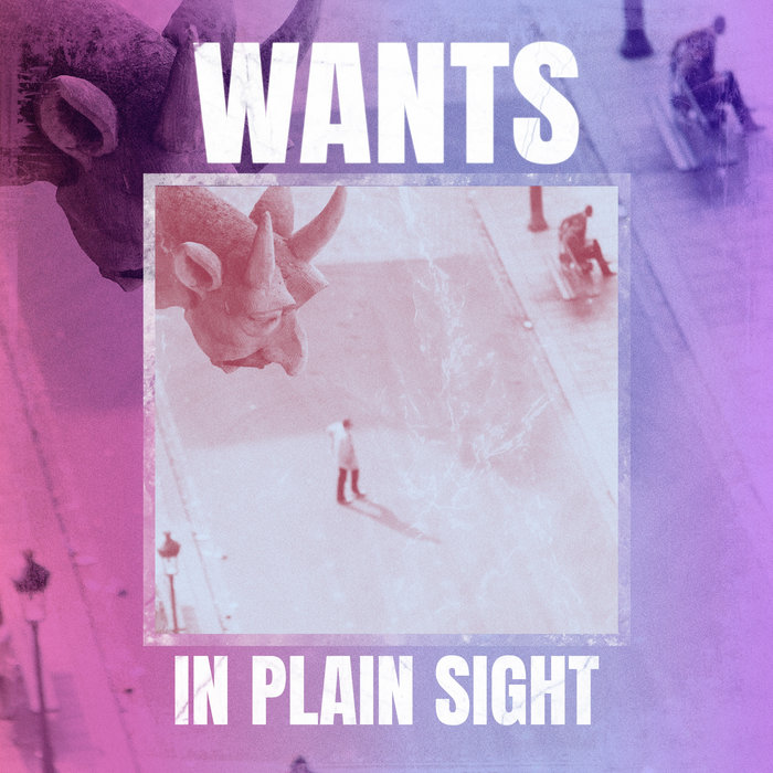 In Plain Sight | Wants