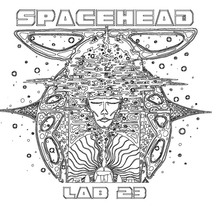 LAB 23 | SPACEHEAD | Mr. Dibs