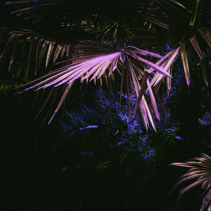 Discovery | Max Zeuner