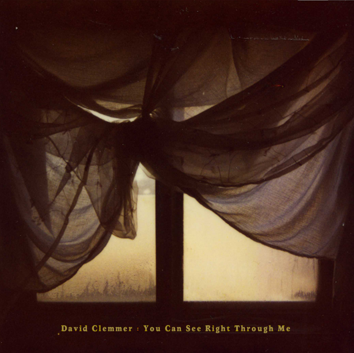 You Can See Right Through Me | David Clemmer
