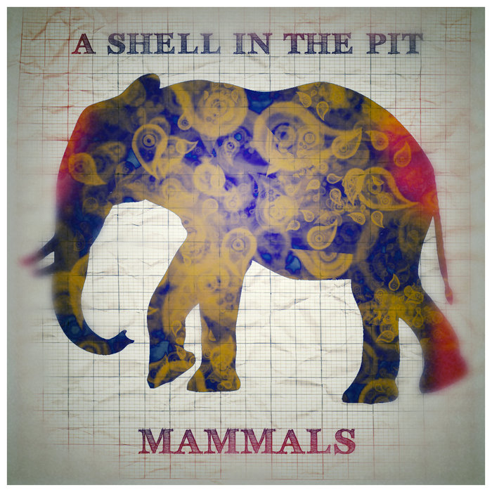 Mammals | A Shell in the Pit