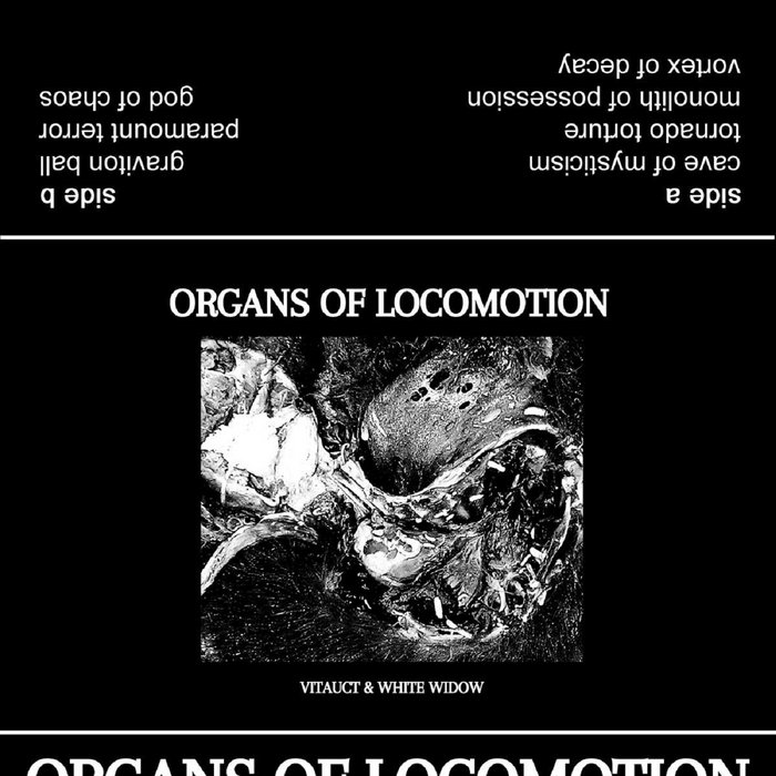 ORGANS OF LOCOMOTION | Vitauct and White Widow | White Widow