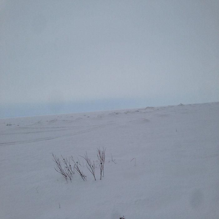 The Long Dark | The Fleet Hounds of Madness