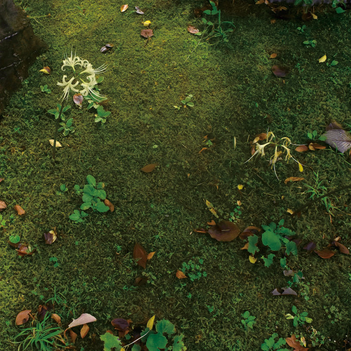 Summer Chronicles | David Cordero & Rhucle | Home Normal