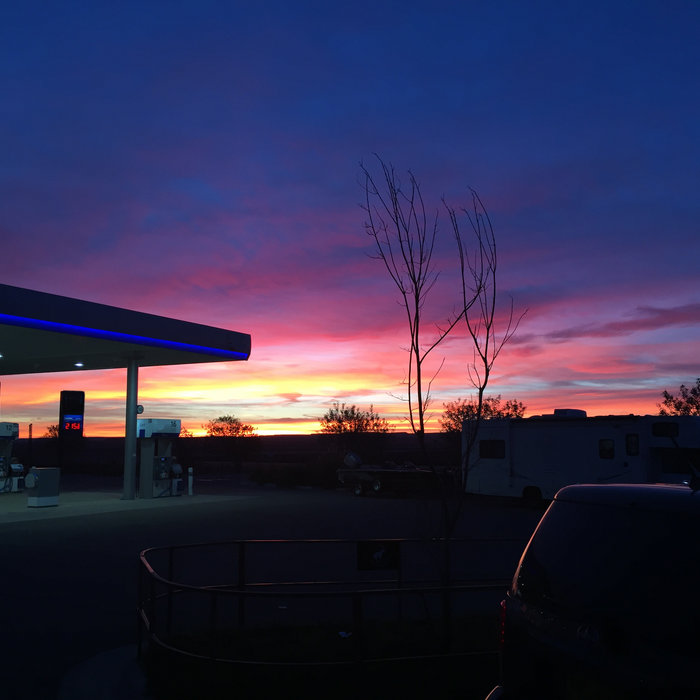 It was a bright cold day in April | Felt Goatee