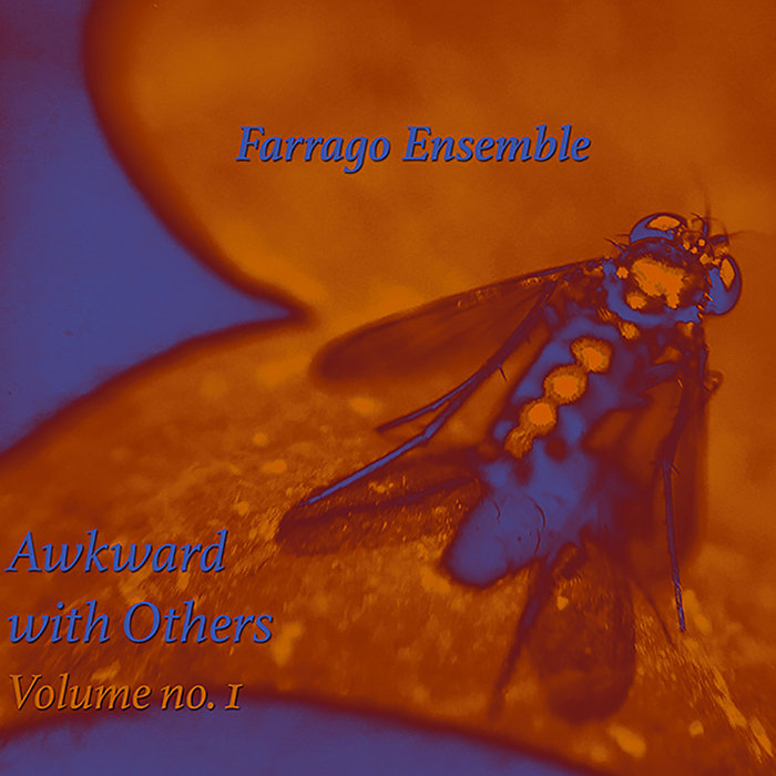 A Folly of Arrogant Hammers | Farrago Ensemble | Derrick Fore