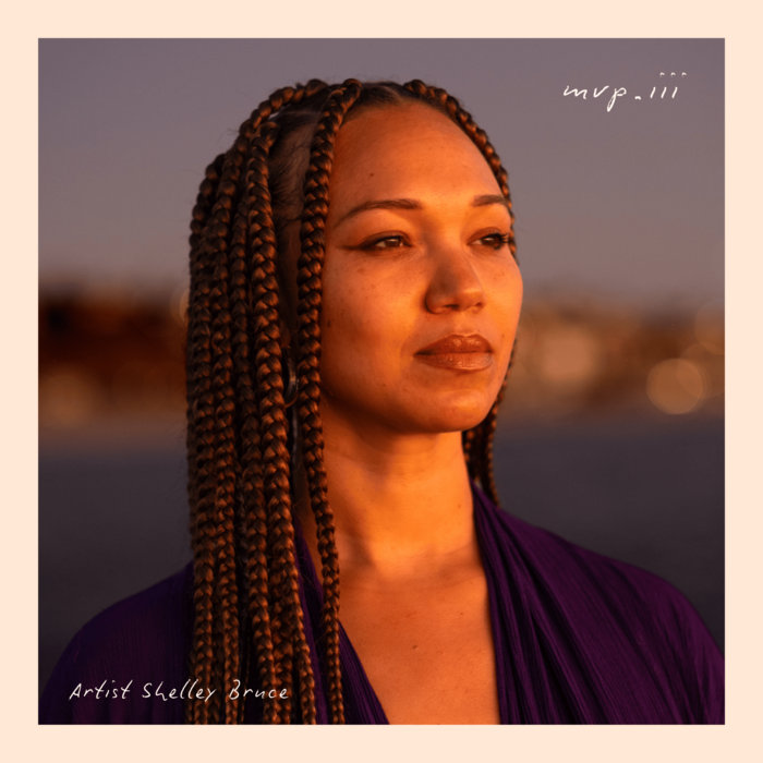 mvp.iii | Artist Shelley Bruce