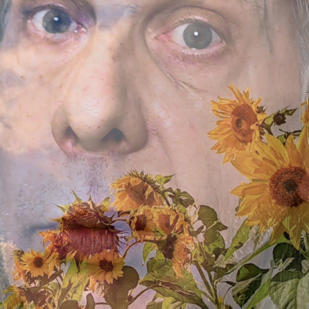 Kloppen… voor… “De Hemelpoort” door Jan-Bart Leo | Haviks Nest