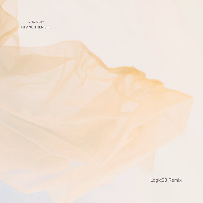 In Another Life (Logic23 Remix) | Anna B May