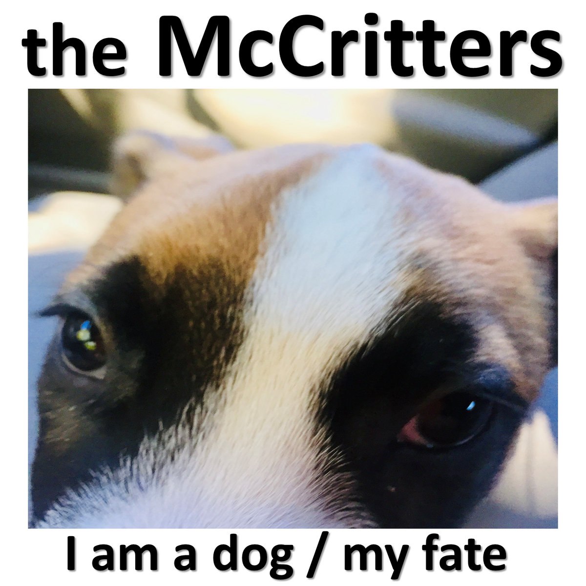 I Am A Dog | The McCritters