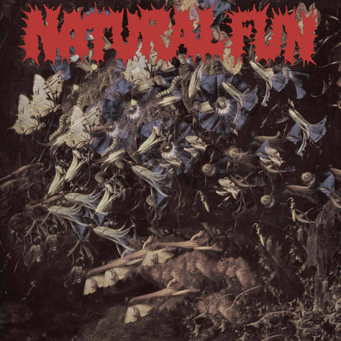 Natural Fun | Natural Fun