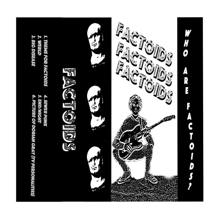 Who Are Factoids? | Factoids