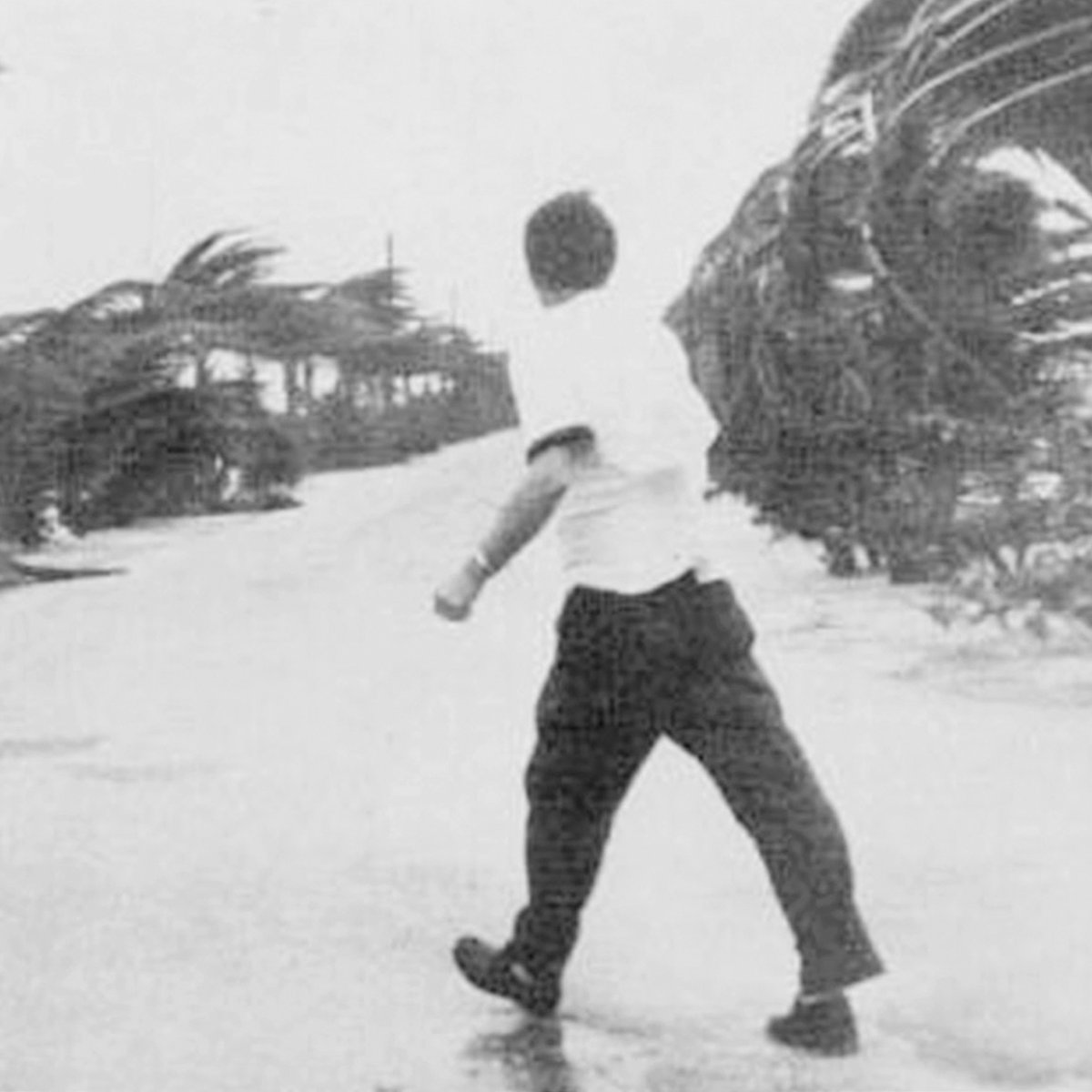 a few stories, one where we all die | Daily Rituals | Cosima Pitz