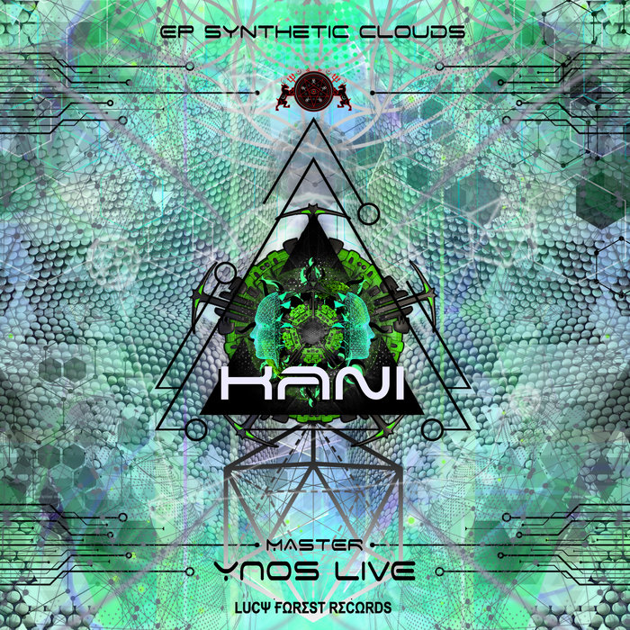EP- SYNTHETIC CLOUDS | KANI LIVE | Lucy Forest Records