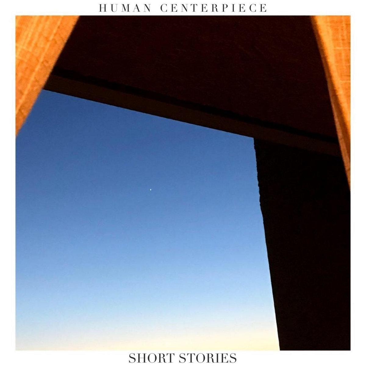 Short Stories | Human Centerpiece