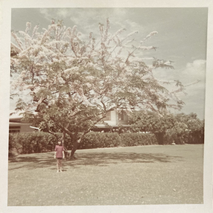 Cold Late Spring | Thicket