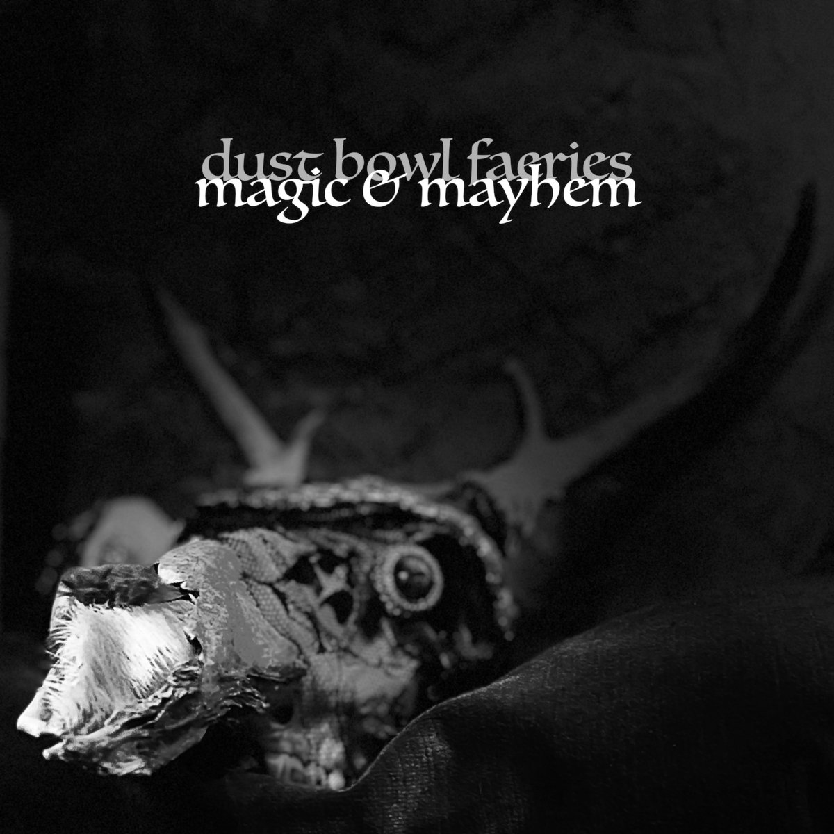 Magic & Mayhem (EP) | Ryder Cooley - Dust Bowl Faeries
