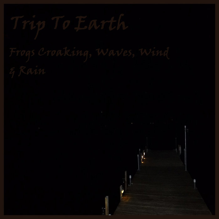 Frogs Croaking, Waves, Wind & Rain | Trip to Earth