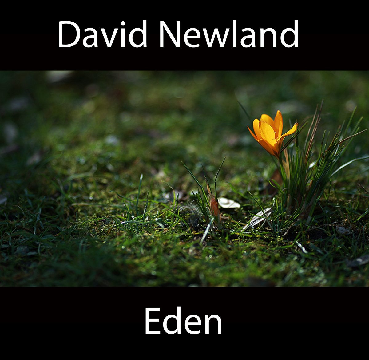 Eden | David Newland