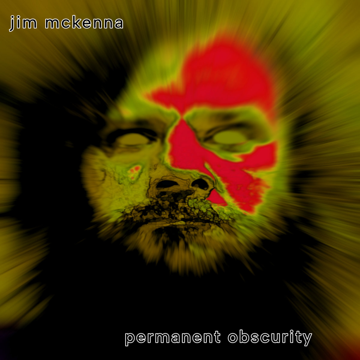 permanent obscurity | Jim Mckenna