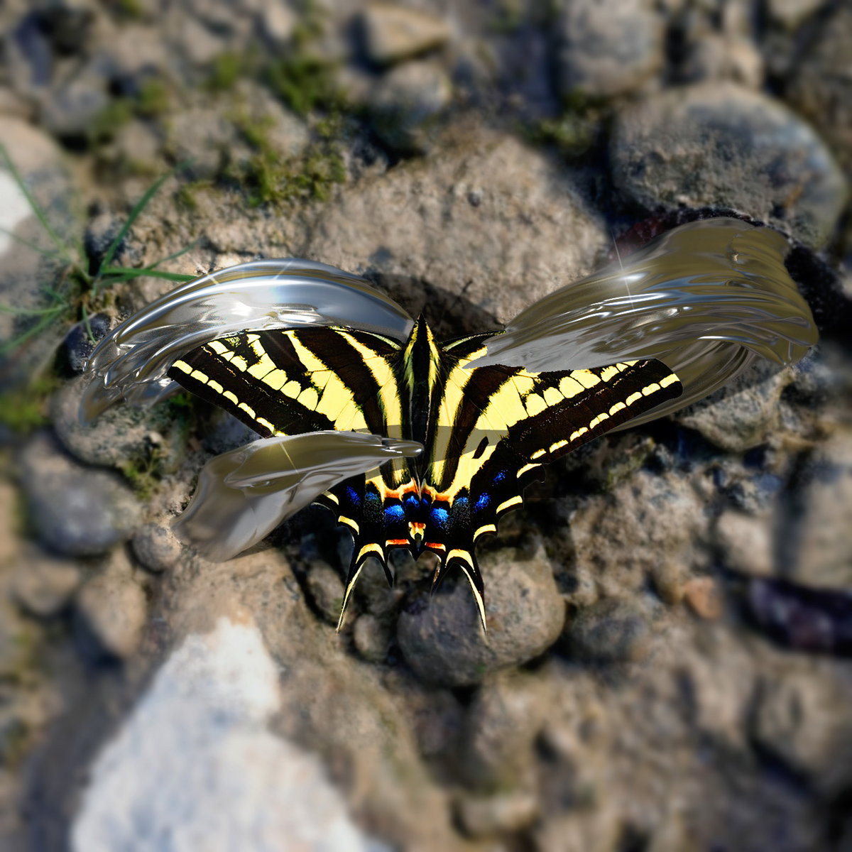 Shakira Ojos Asi Album