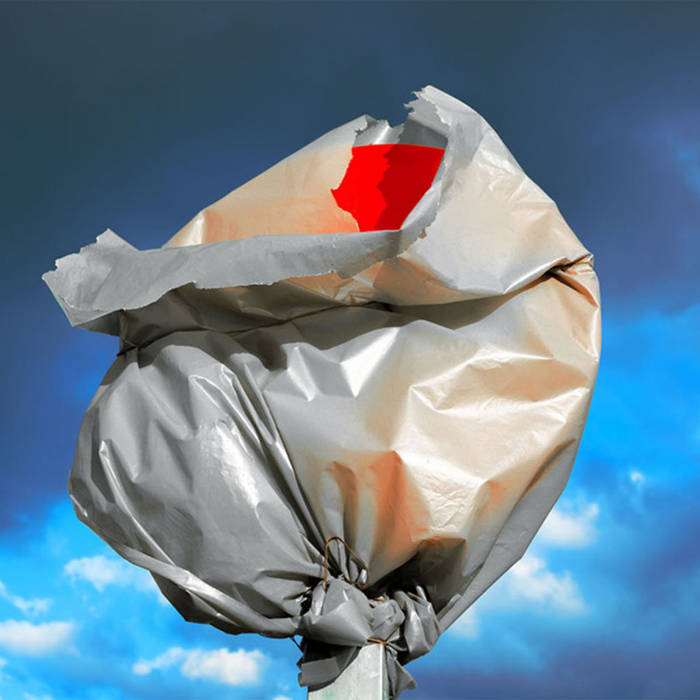 The Takeoff | High Felicity